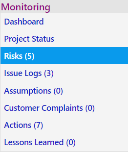 Projects (Risk Management and Lessons Learned) - Comidor